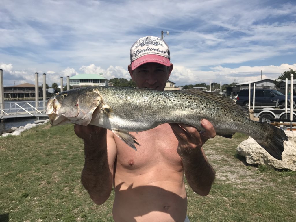Gator Trout - Bass Bros